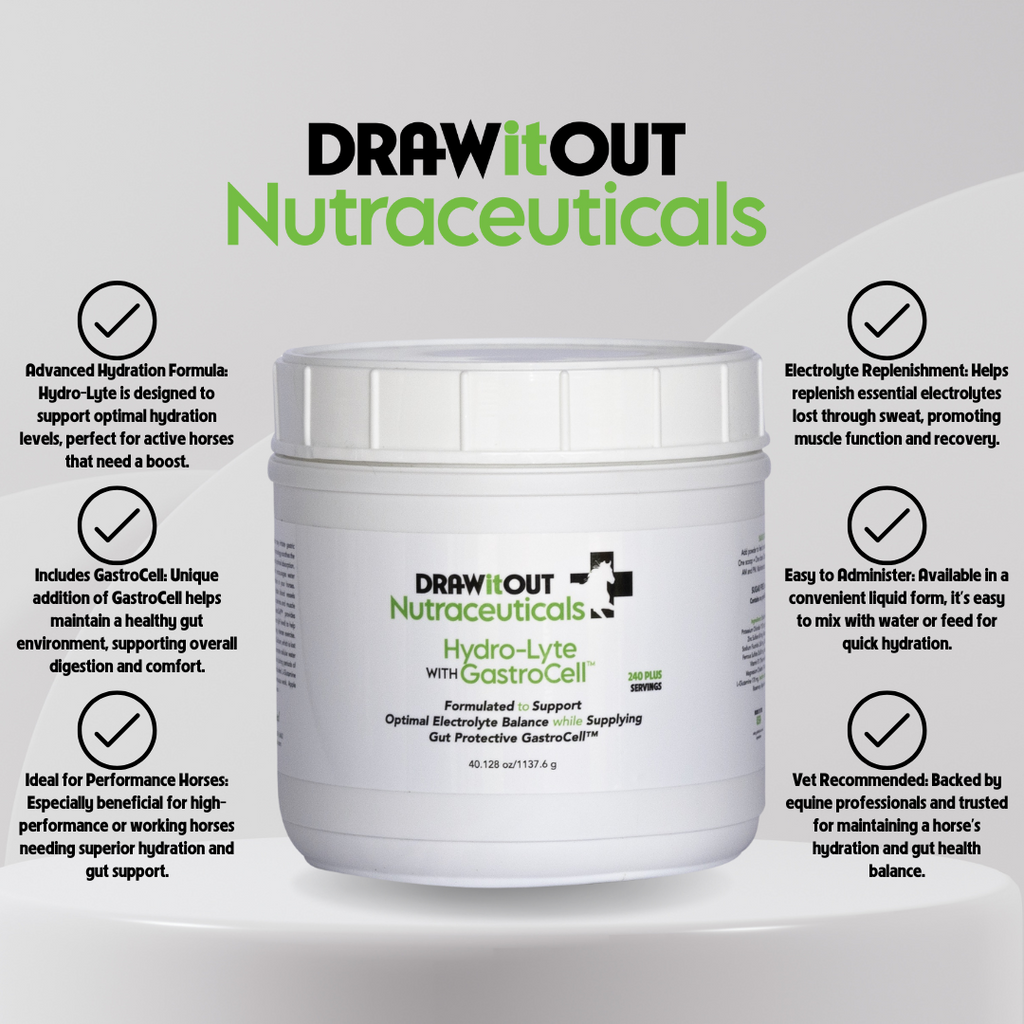 Hydro-Lyte® Electrolyte + Gut Recovery | Draw It Out® – K&D Equestrian LLC